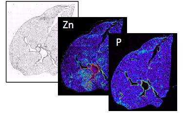 ICPMS-2030 - Features : SHIMADZU (Shimadzu Corporation)