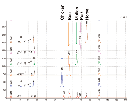 Genetic Inspection of Food | Rapid Meat Species Identification ...