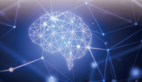 LC Software : SHIMADZU (Shimadzu Corporation)